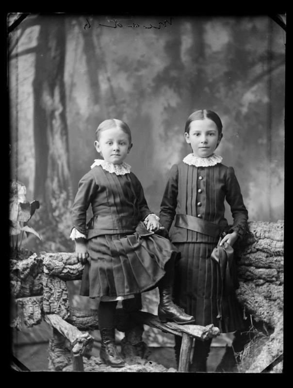 Mead - Nelson Provincial Museum