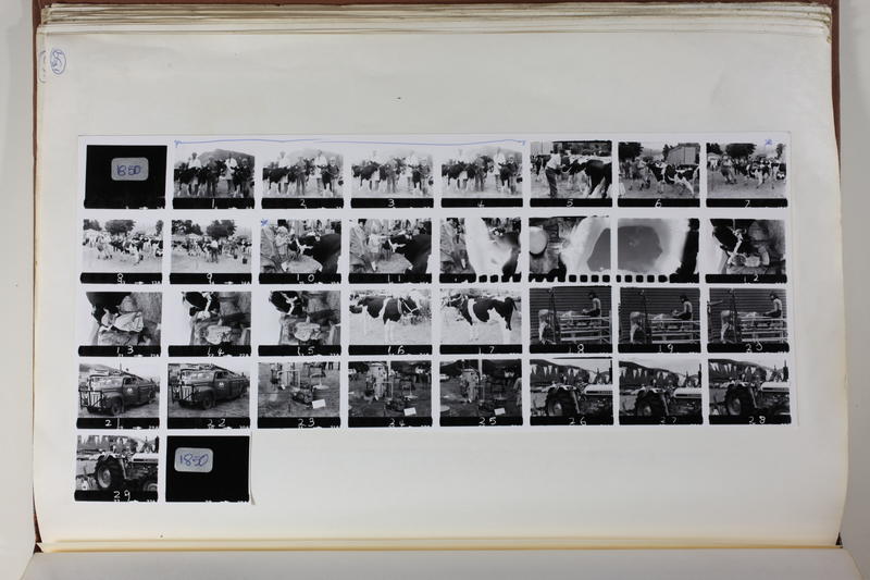 Nelson Evening Mail proof sheet: untitled - Nelson Provincial Museum