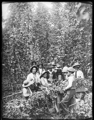 Hop pickers - Nelson Provincial Museum