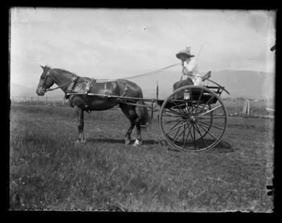 Strachan, Mrs Kathleen - Nelson Provincial Museum