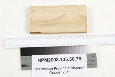 Timber sample, Lacebark - Nelson Provincial Museum
