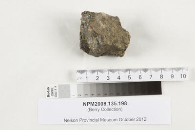 Specimen, geological - Nelson Provincial Museum