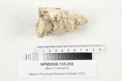 Specimen, geological - Nelson Provincial Museum