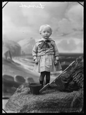 Livick - Nelson Provincial Museum