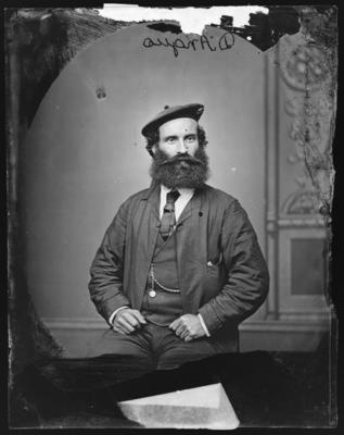 Angus, Mr. D. - Nelson Provincial Museum