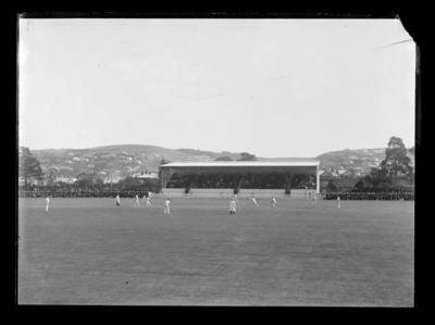 Carisbrook, Dunedin - Nelson Provincial Museum