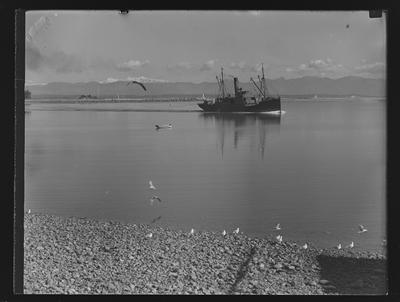 Nelson Harbour, cargo boat - Nelson Provincial Museum