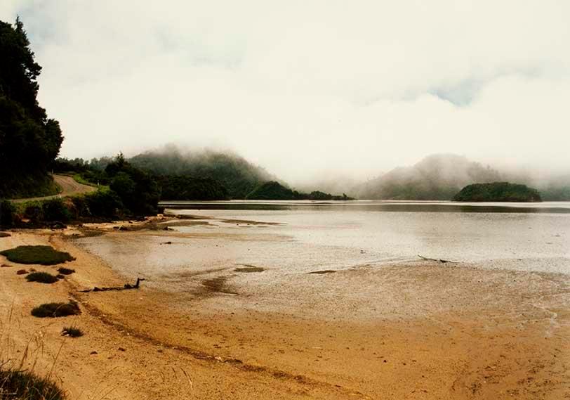 Westhaven Reserve, Whanganui Inlet - Nelson Provincial Museum