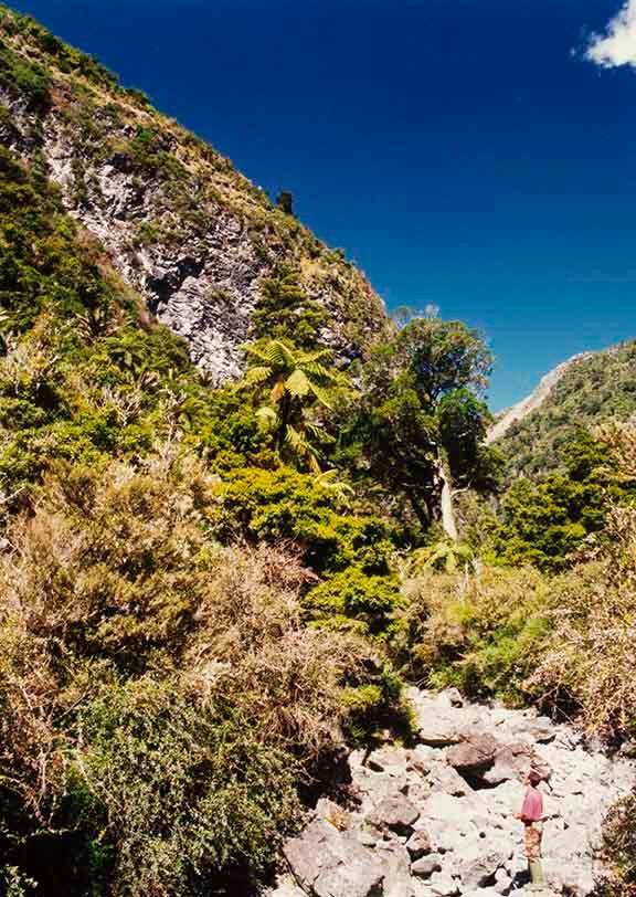 Dry river gorge, Takaka - Nelson Provincial Museum