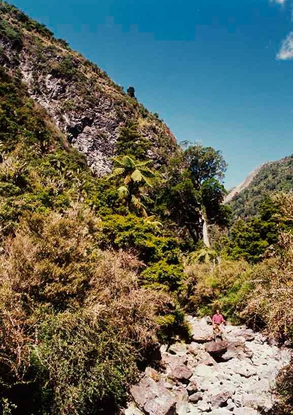 Dry river gorge, Takaka - Nelson Provincial Museum