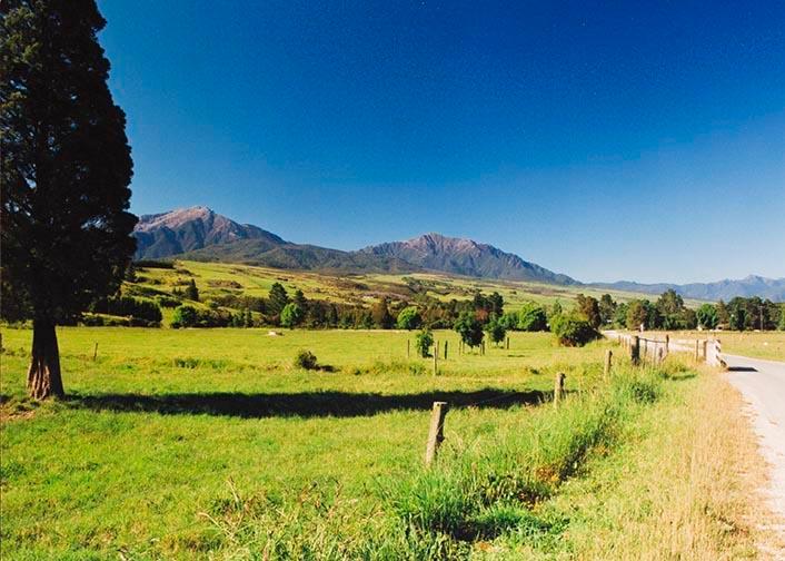 Bainham - Nelson Provincial Museum