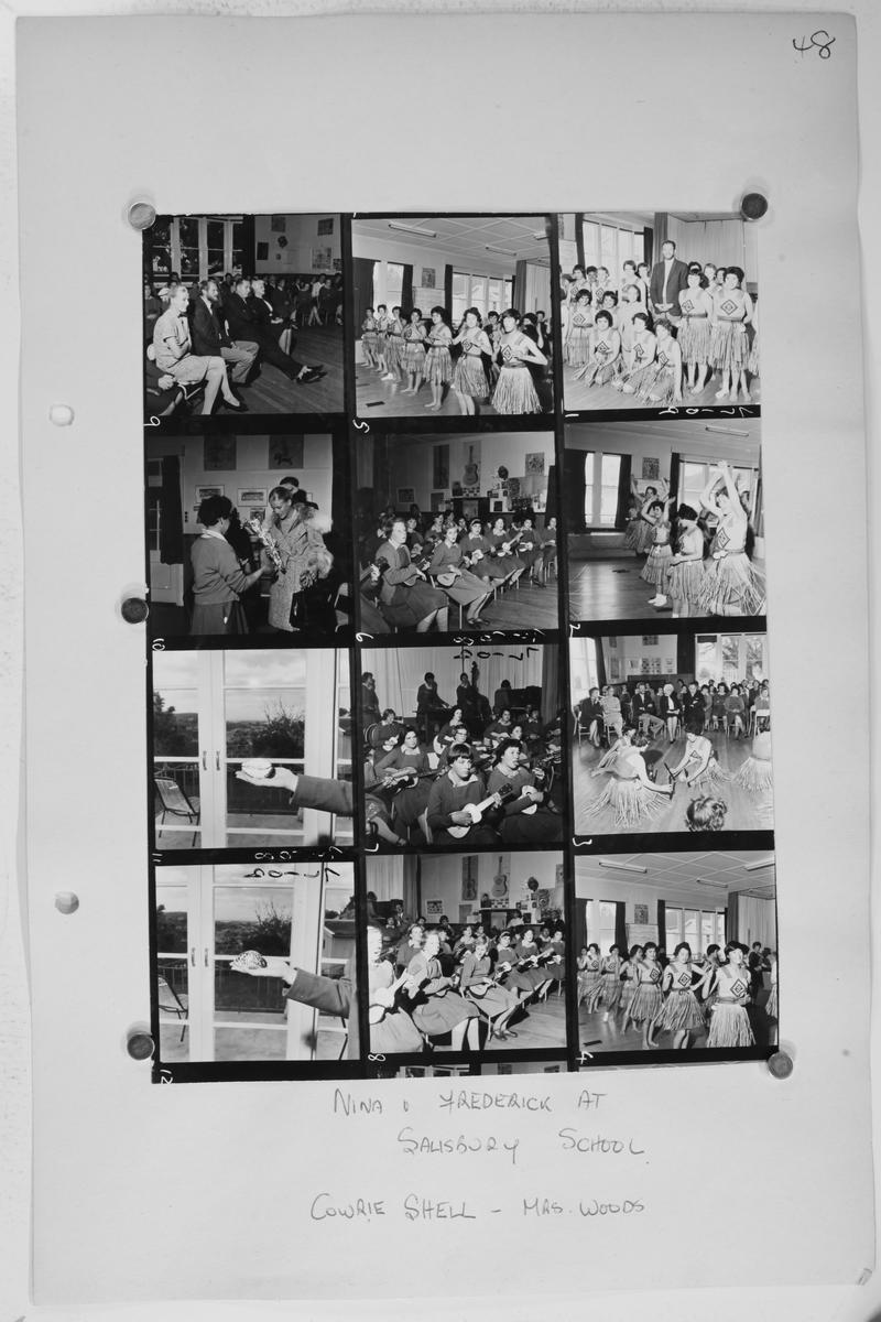 Geoffrey C Wood Nelson Evening Mail proof sheet: Cowrie shell - Nelson ...