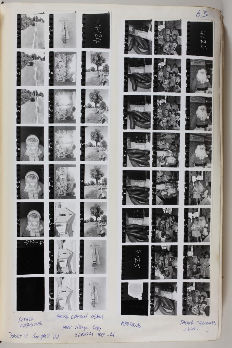 Geoffrey C Wood Nelson Evening Mail proof sheet: Cabbage Tree - Nelson ...