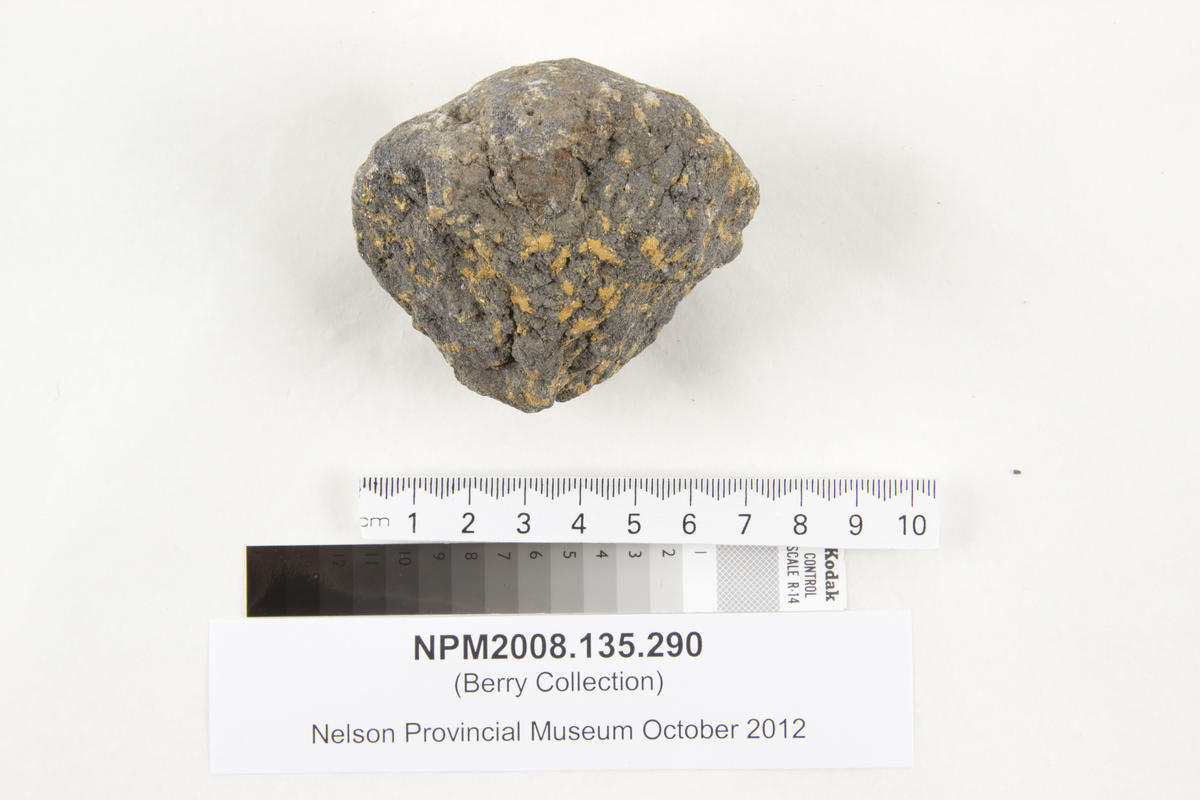 Specimen, geological - Nelson Provincial Museum