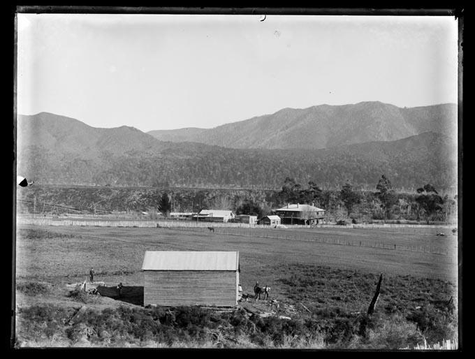 Harwood farm, Collingwood - Nelson Provincial Museum