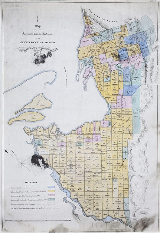 Map of part of the Accommodation Sections in the settlement of Nelson ...