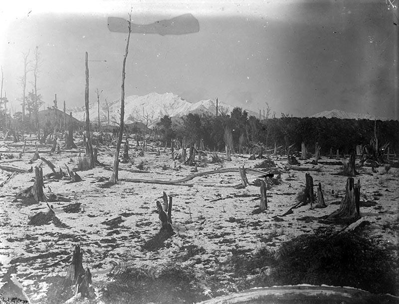 Rocky Peak, behind Bainham - Nelson Provincial Museum