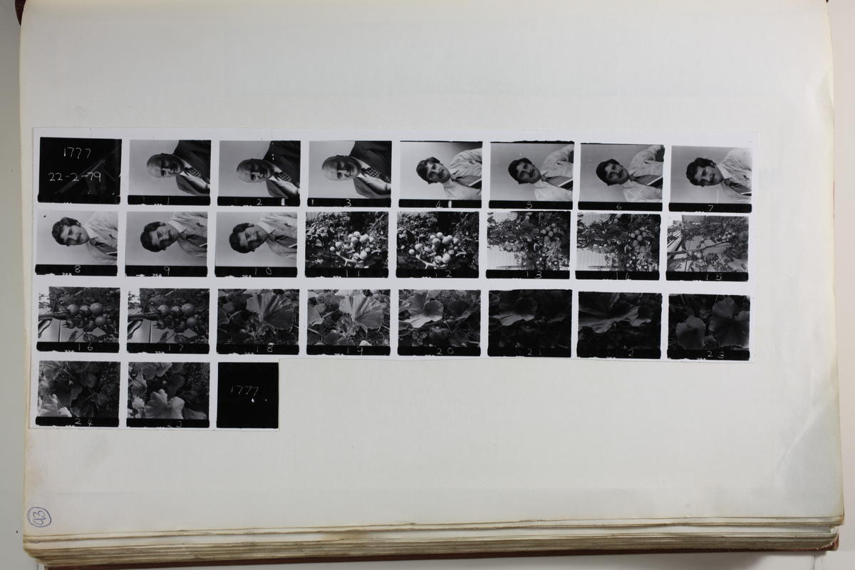 Nelson Evening Mail proof sheet: untitled - Nelson Provincial Museum