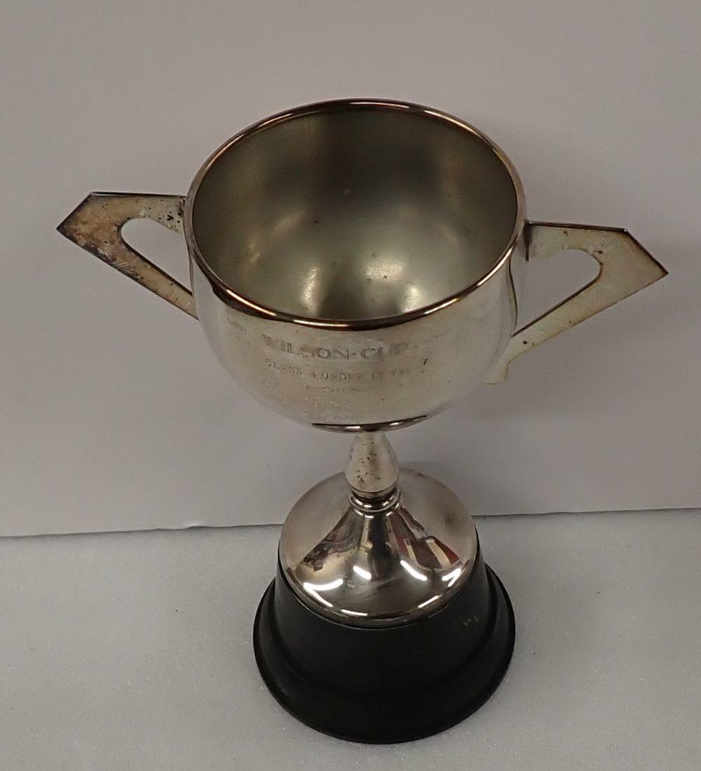 Trophy, Wilson Cup - Nelson Provincial Museum