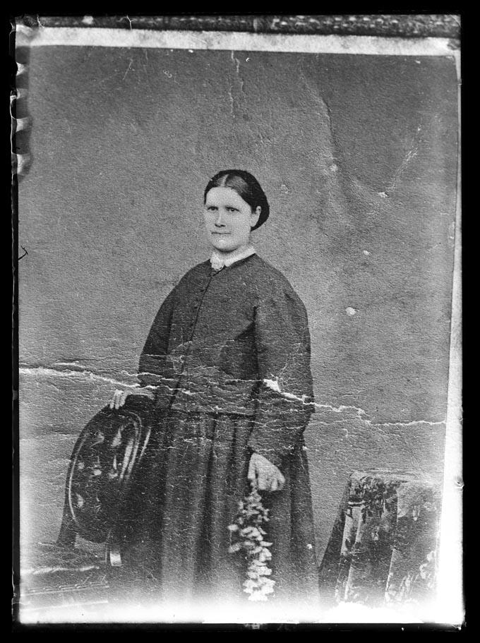 Gibbs - Nelson Provincial Museum