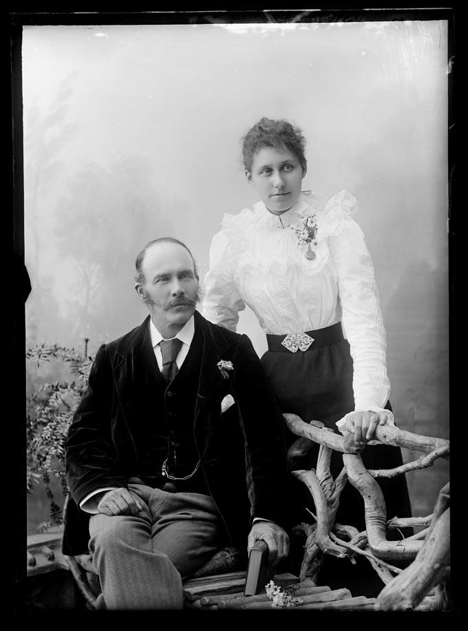 Stace - Nelson Provincial Museum