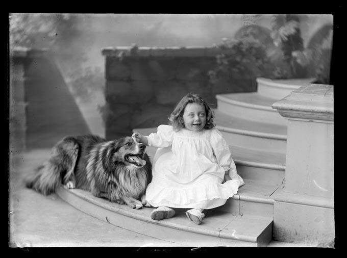 Coull - Nelson Provincial Museum