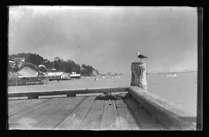 Port Nelson - Nelson Provincial Museum