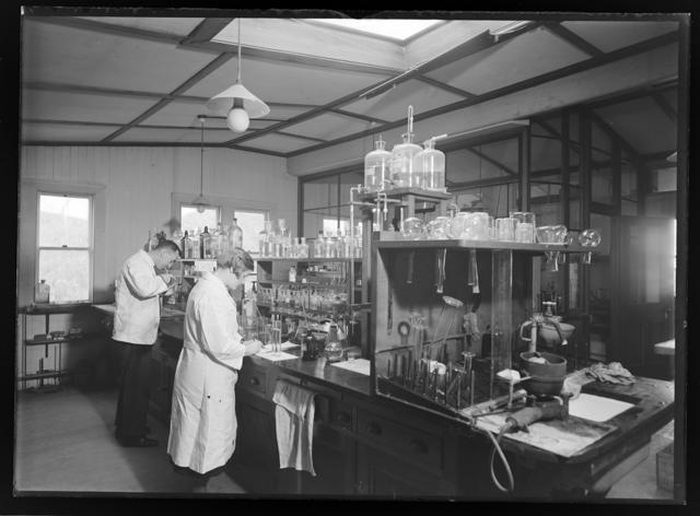 Cawthron Institute, interior - Nelson Provincial Museum