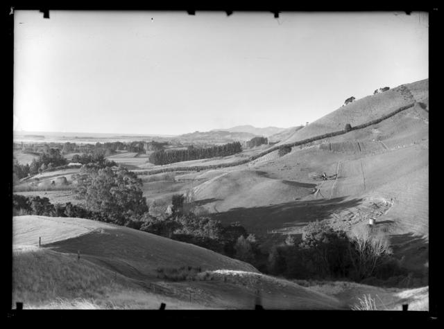 Foothills, Waimea Plains from Aniseed Valley - Nelson Provincial Museum